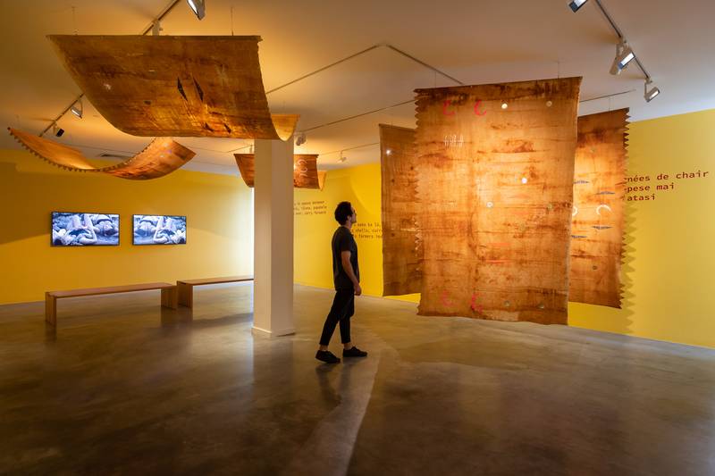 Exhibitions | MCA Australia