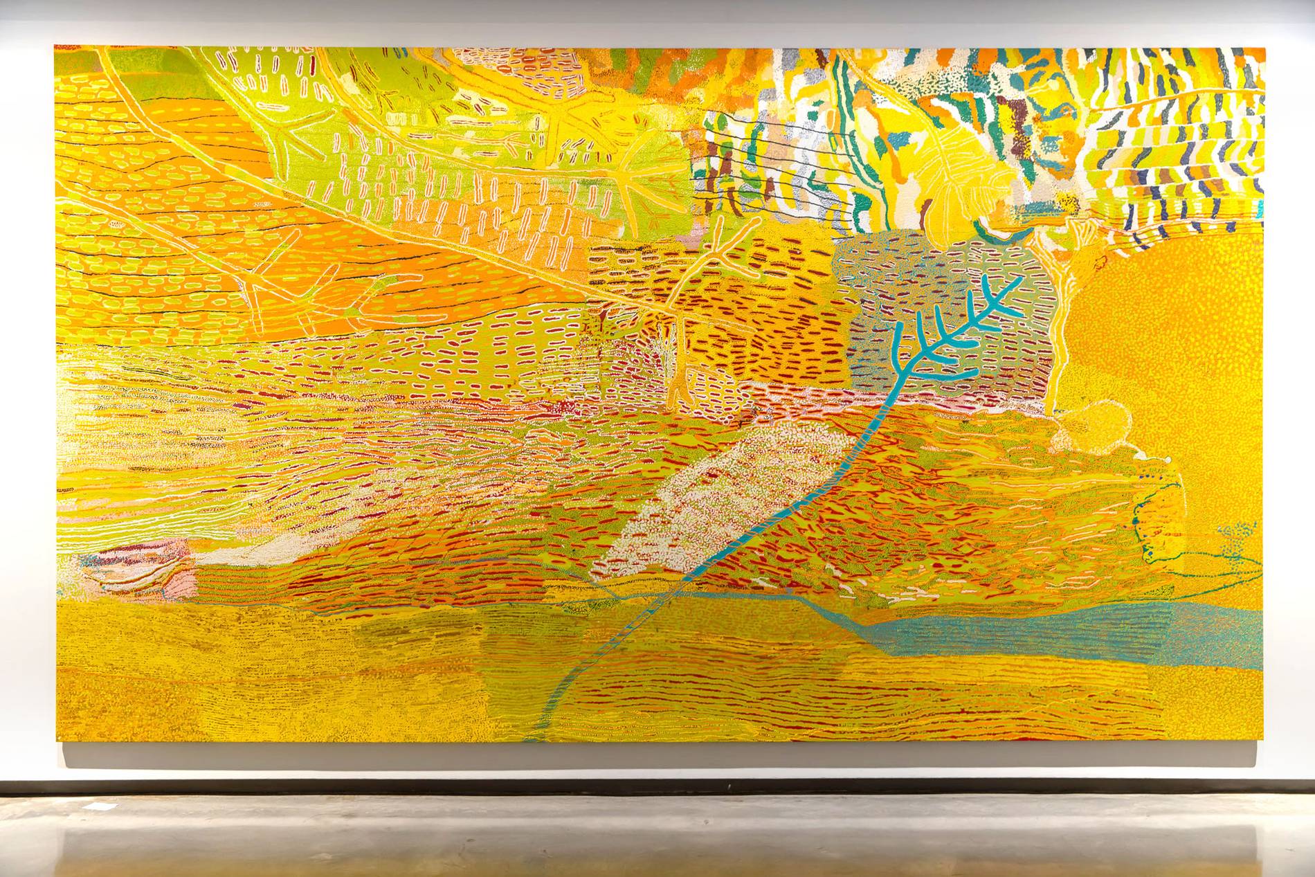 Kalyu by Martu Artists | MCA Australia