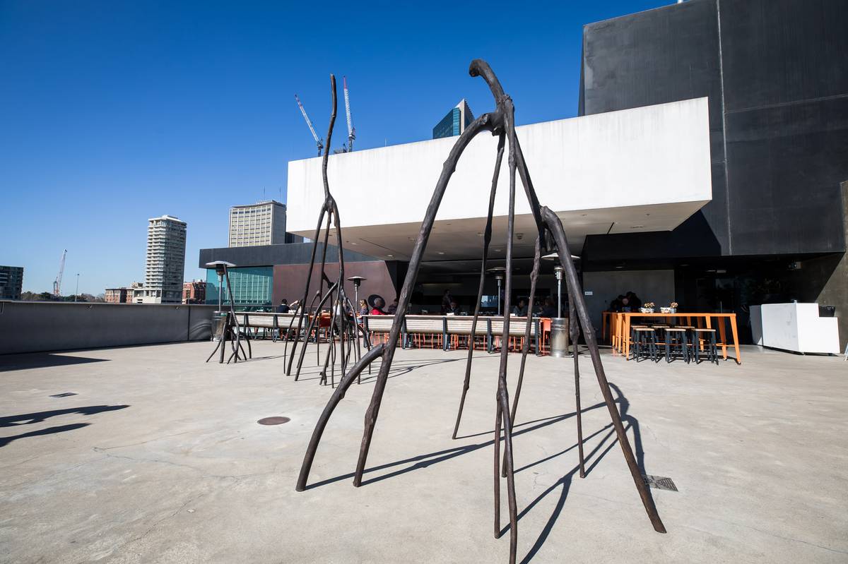 Danie Mellor | Loti Smorgon Sculpture Terrace | MCA Australia | MCA ...