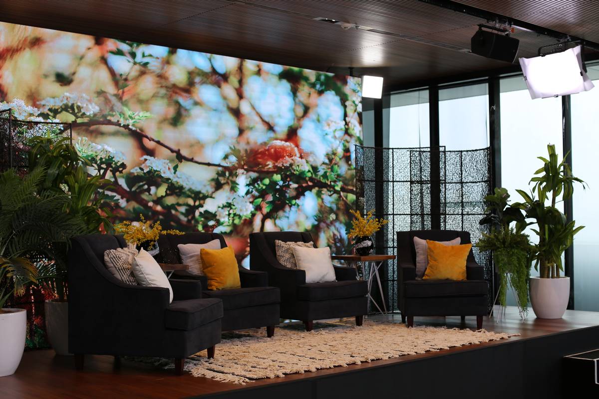 Virtual events at the MCA | MCA Australia