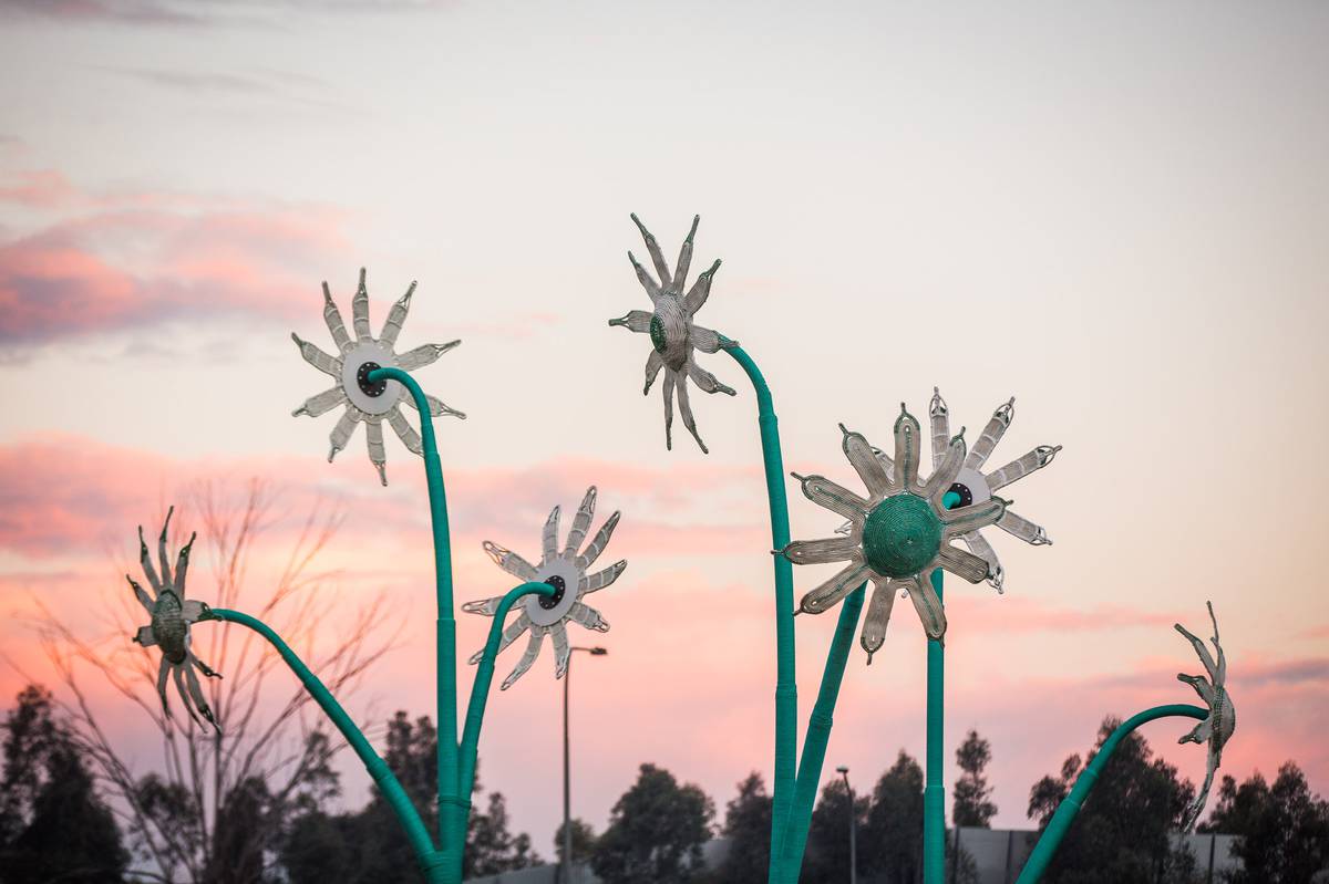 Sharyn Egan, Flannel Flowers, 2018 | MCA Australia