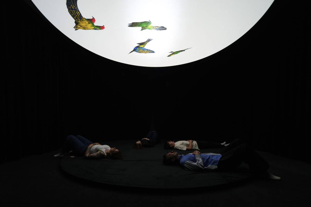Data Dreams: Art and AI | MCA Australia