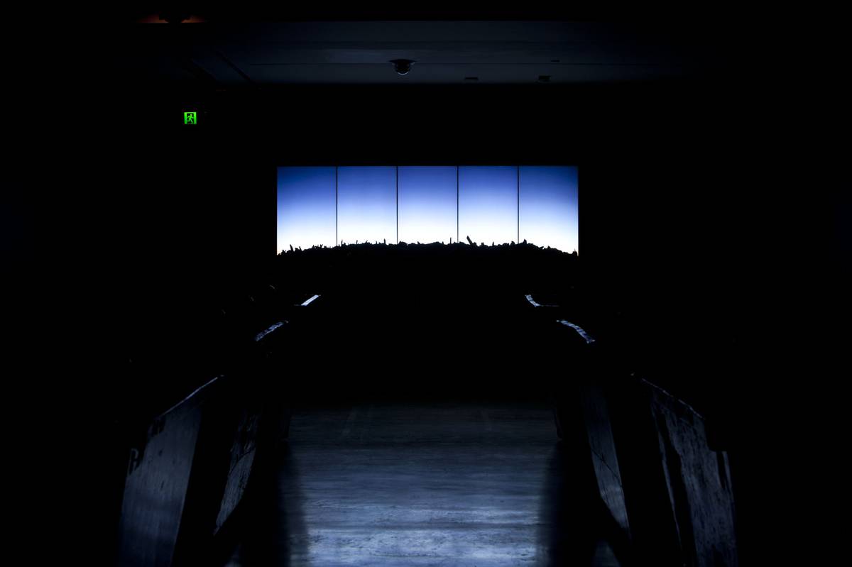 Embedded: Craig Walsh | Exhibitions | MCA Australia