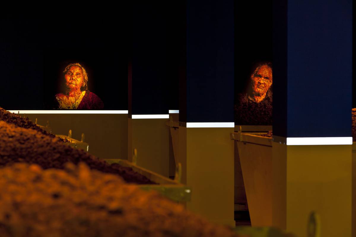 Embedded: Craig Walsh | Exhibitions | MCA Australia