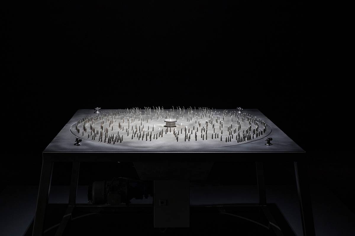 Warraba Weatherall: Shadow and Substance | MCA Australia