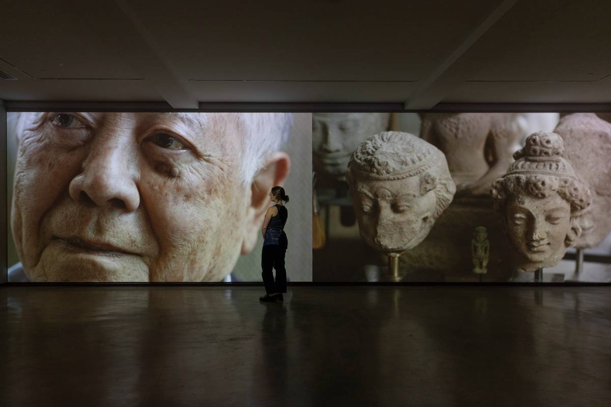 MCA Collection: Artists in Focus | MCA Australia