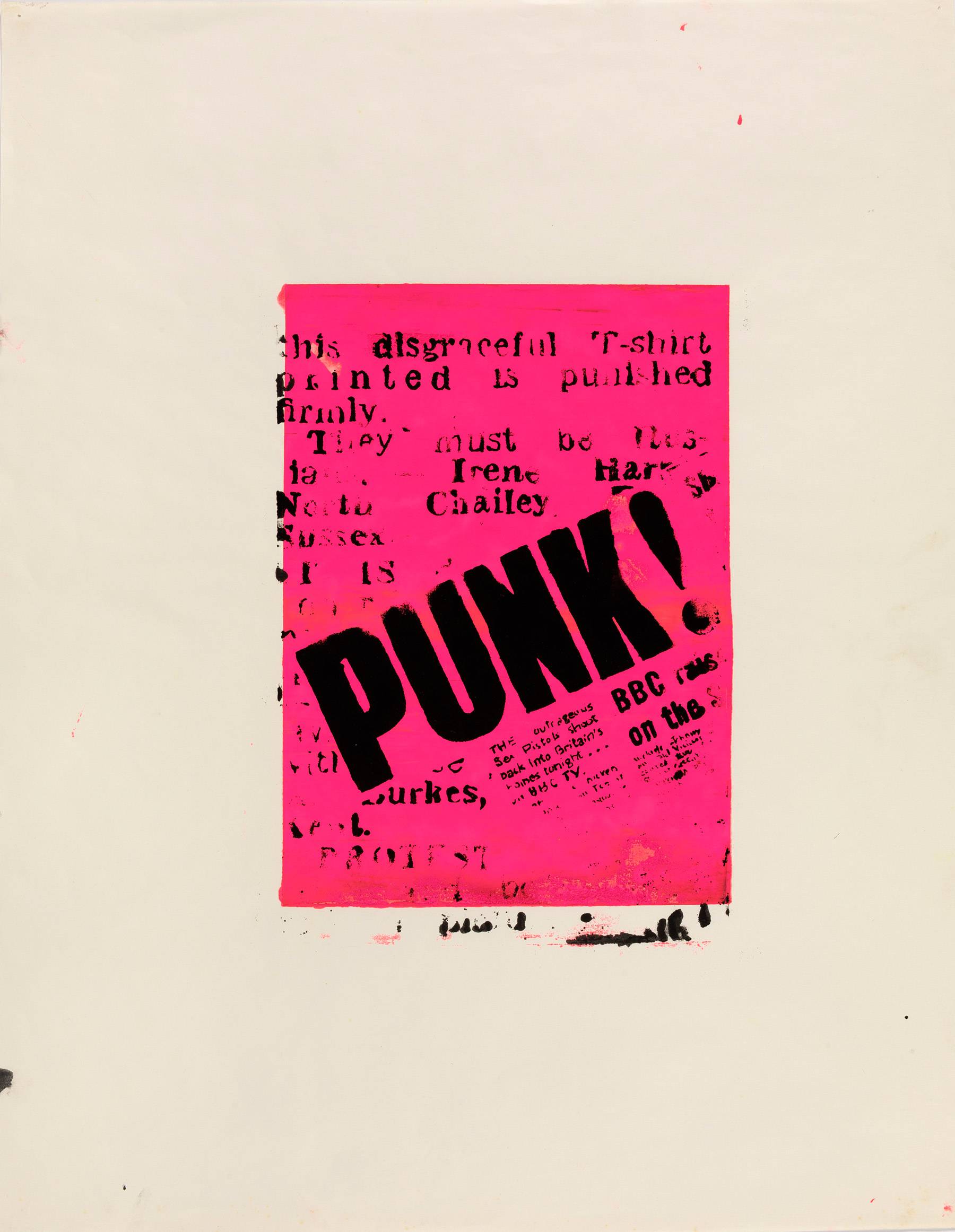 Punk! by Tim Johnson | MCA Australia