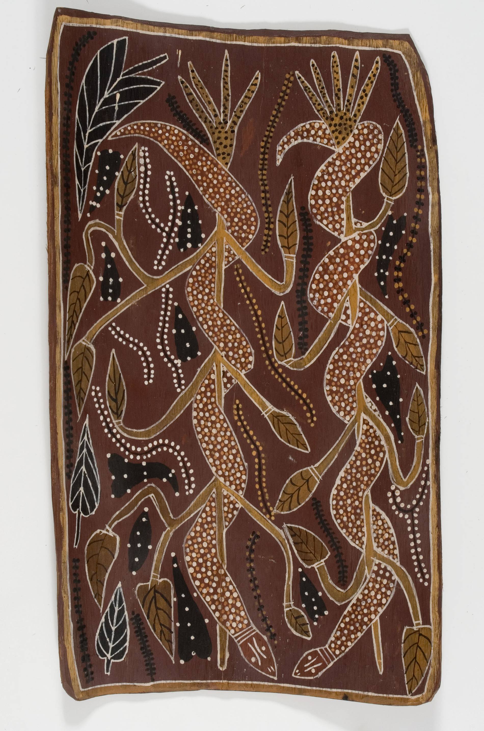 Snakes by David Malangi Daymirringu | MCA Australia