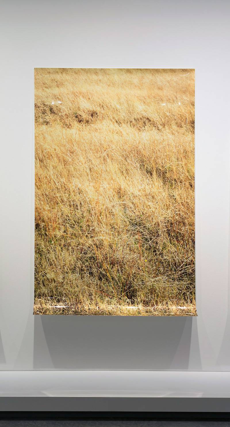 Felicia Kan | MCA Australia