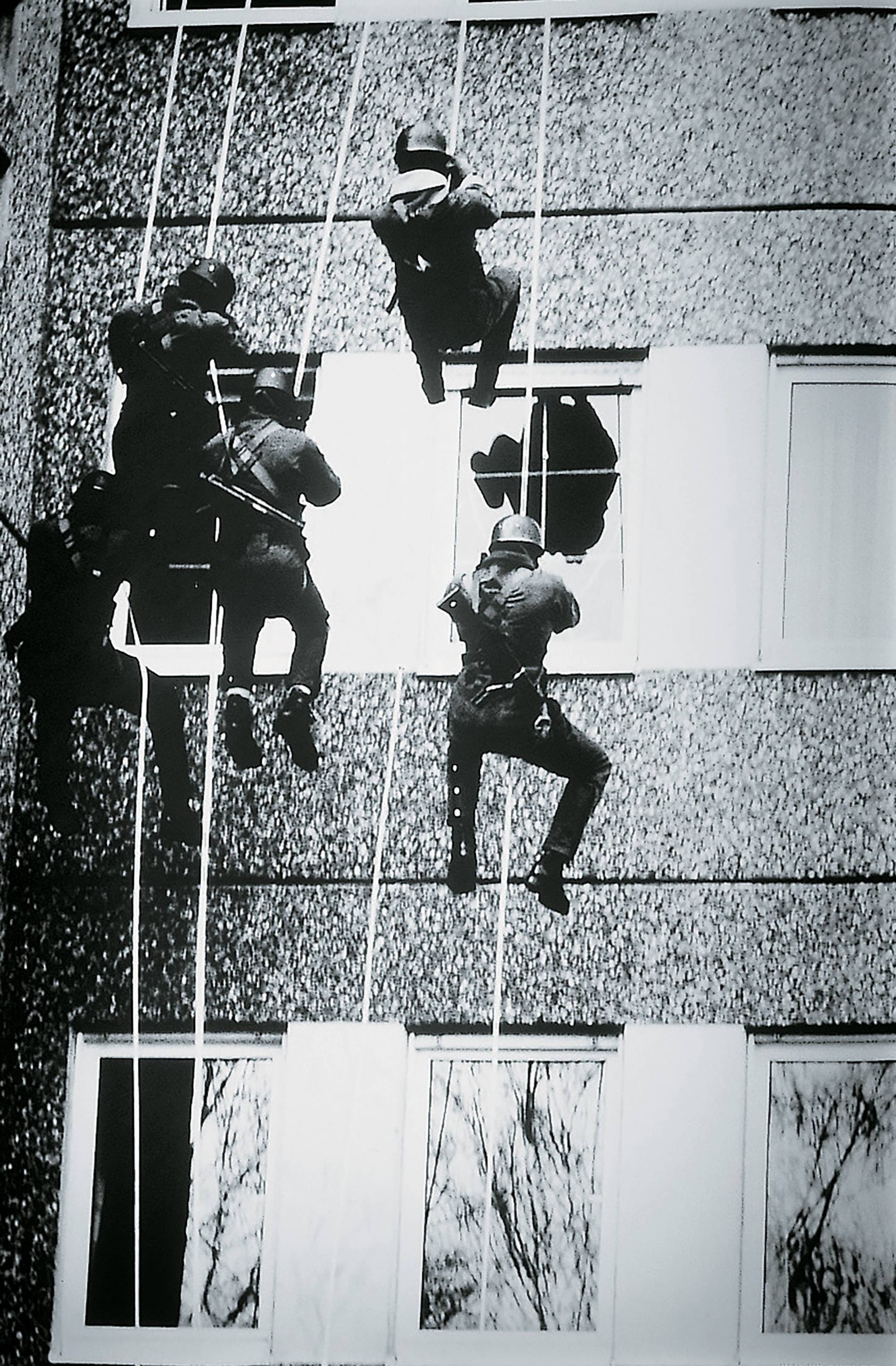 Inquisition/seven by Susan Norrie | MCA Australia