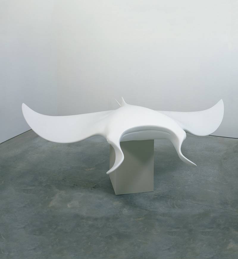 James Angus artist interview | Stories & ideas | MCA Australia