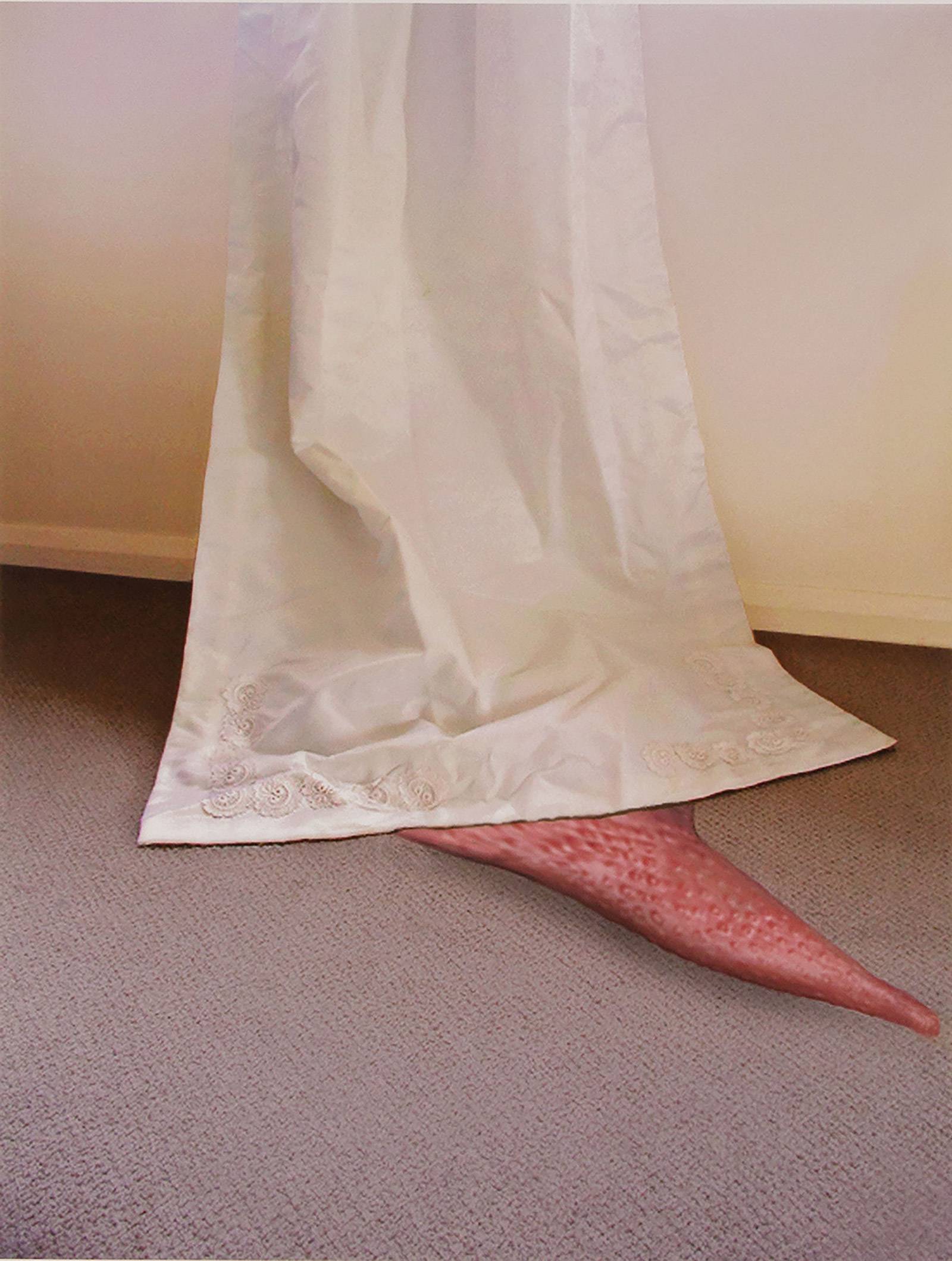 The Wedding Guest from You're so Vein by Pat Brassington | MCA Australia