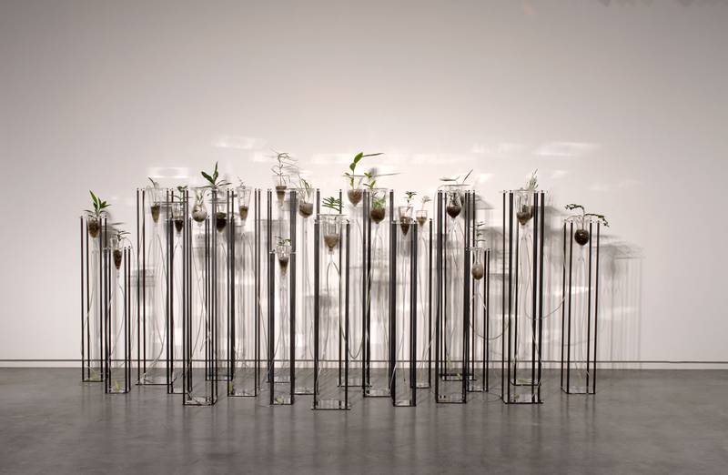 Janet Laurence artist interview | Stories & ideas | MCA Australia