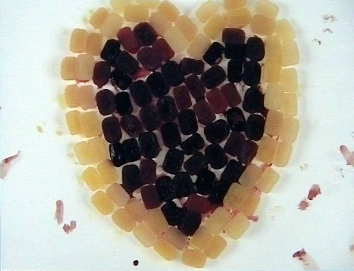 Porous Bodies by Julie Rrap | MCA Australia