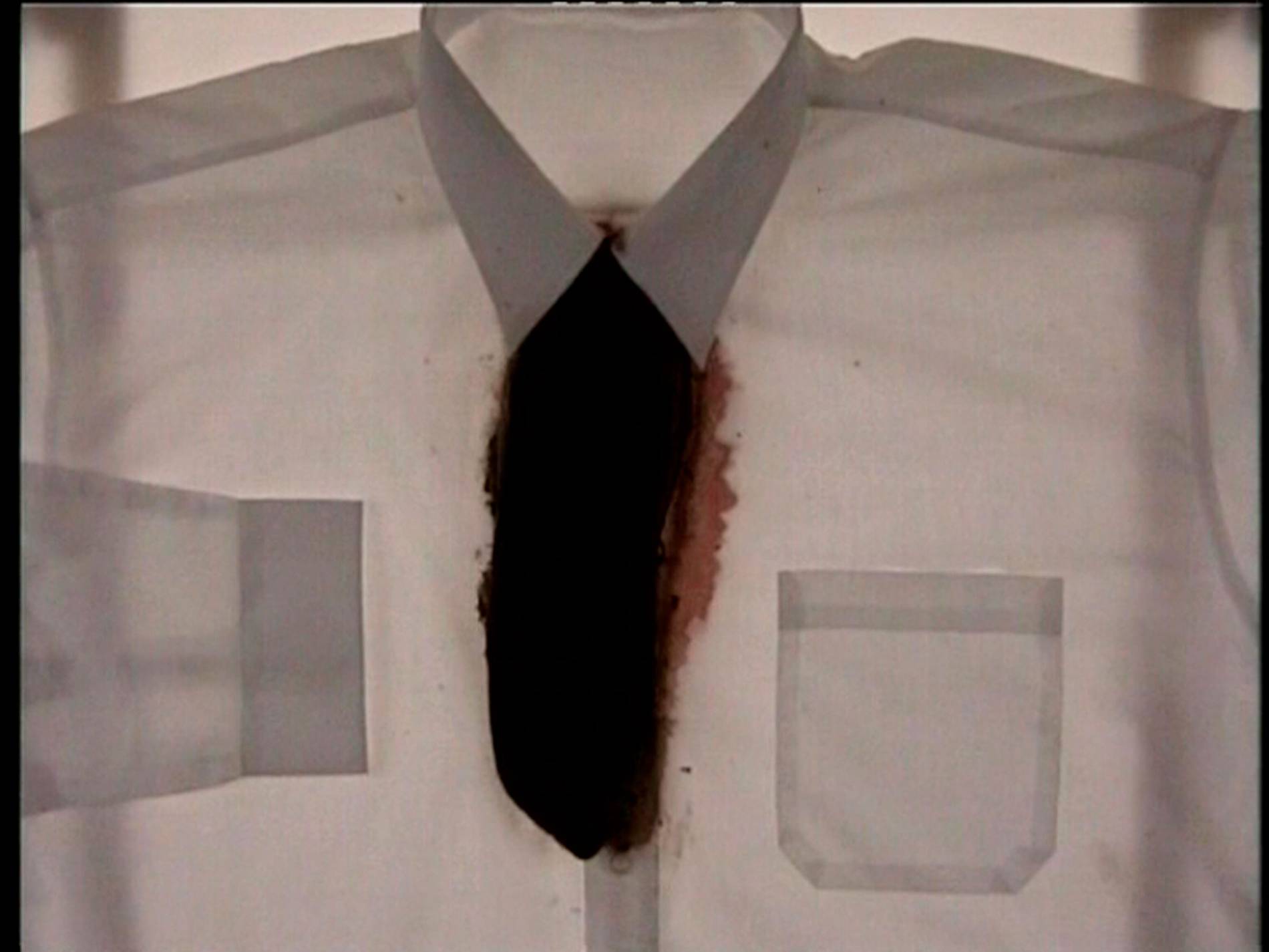 Cow Tongue Tie from the series Porous Bodies by Julie Rrap | MCA Australia