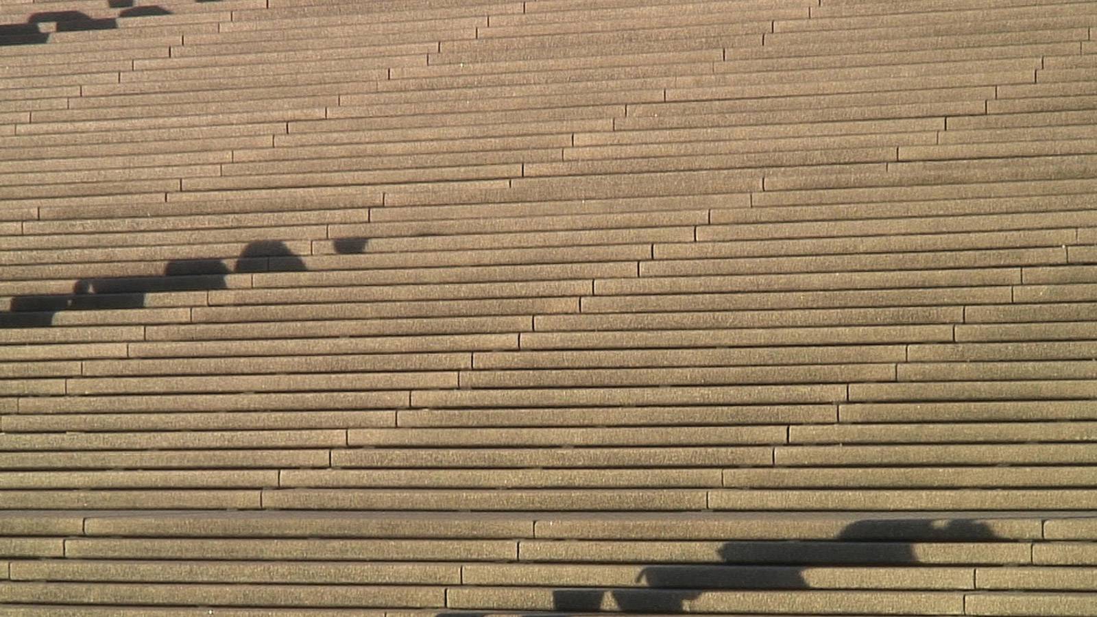 Opera House Steps, December by Jess MacNeil | MCA Australia