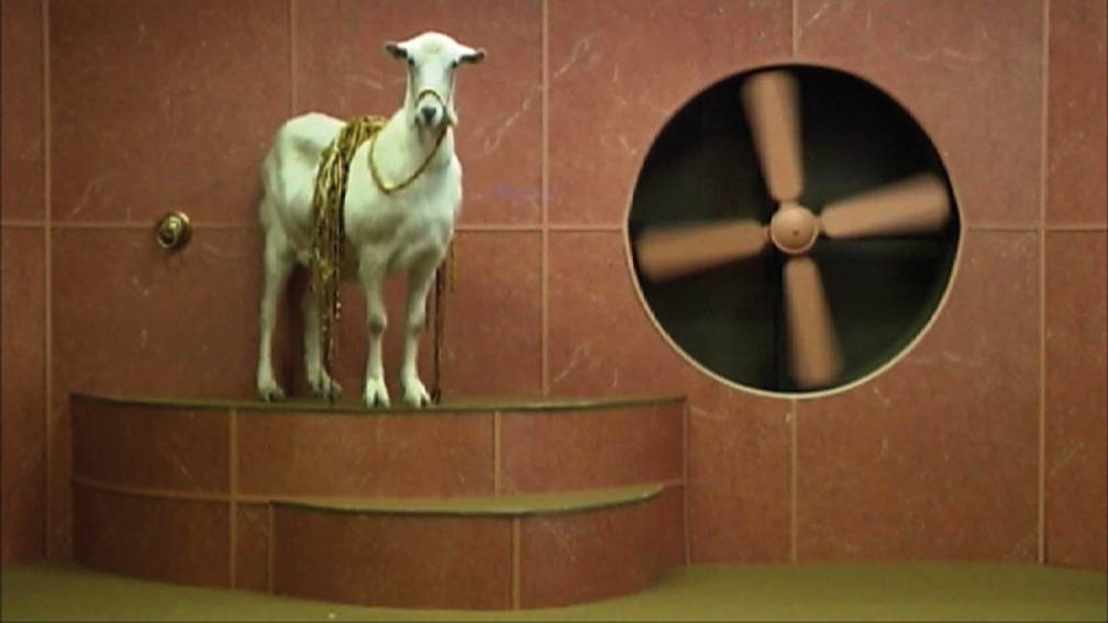 Goat Odyssey by Hayden Fowler | MCA Australia