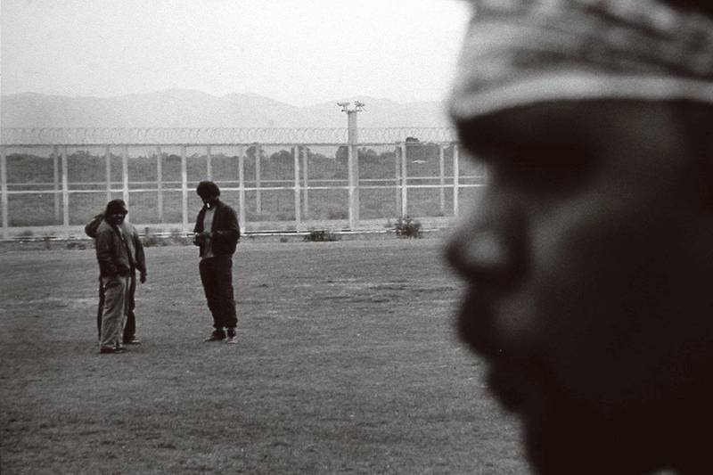 Ricky Maynard | MCA Australia