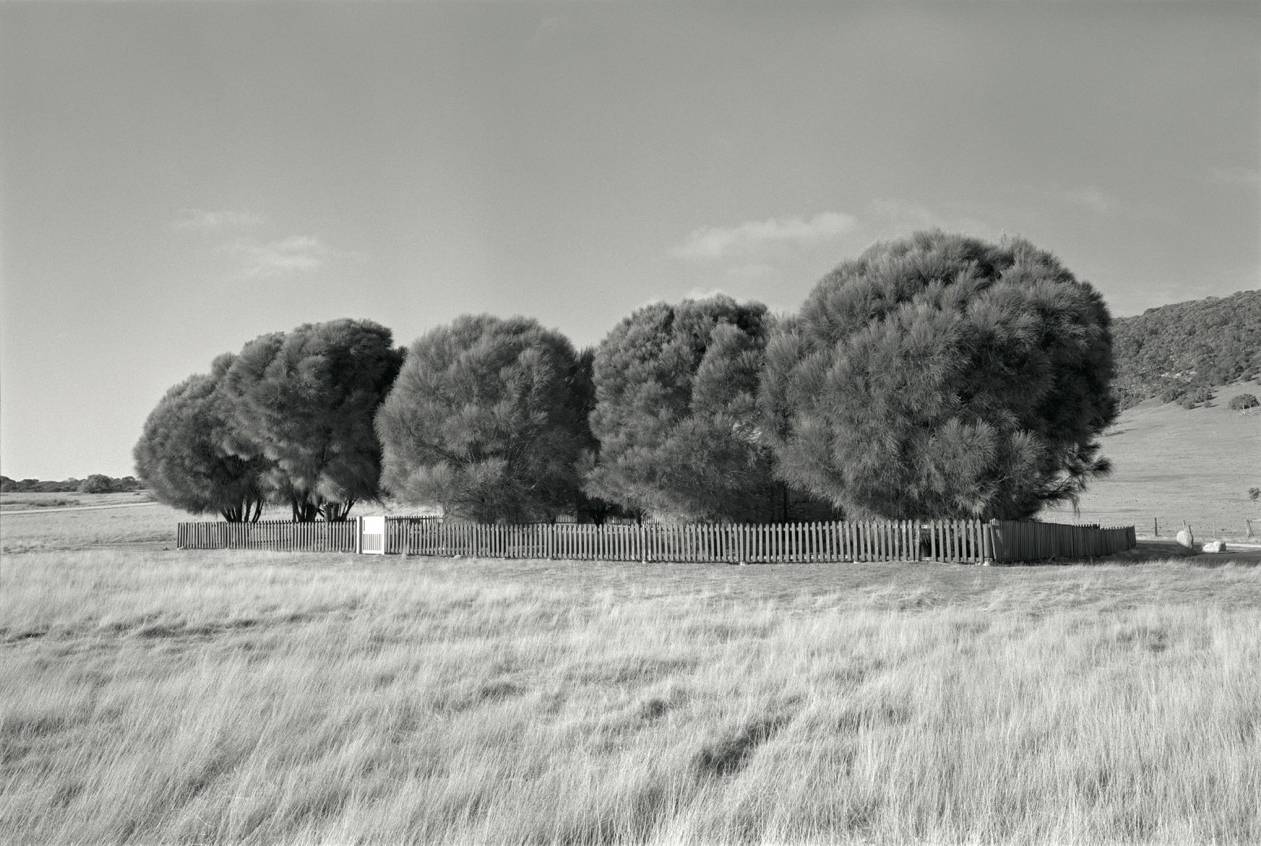 The Healing Garden, Wybalenna, Flinders Island, Tasmania, from Portrait ...