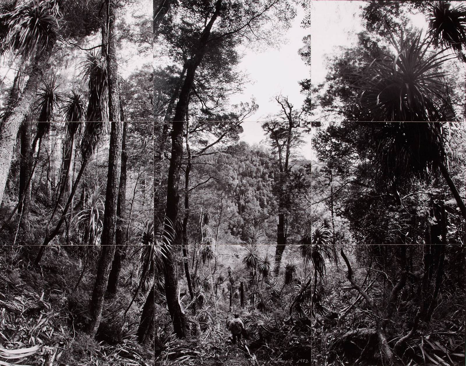 Self portrait looking down a survey cut, proposed site of Gordon below ...