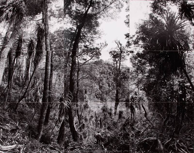 Drowned No.62 (Lake Gordon, Tasmania) by David Stephenson | MCA Australia