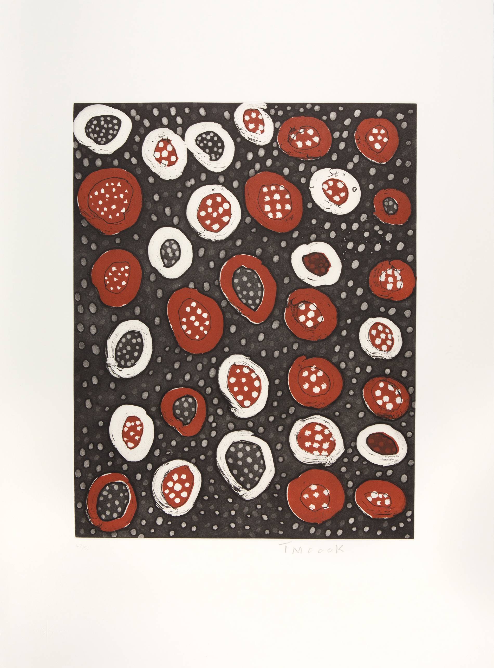 Kulama by Timothy Cook | MCA Australia