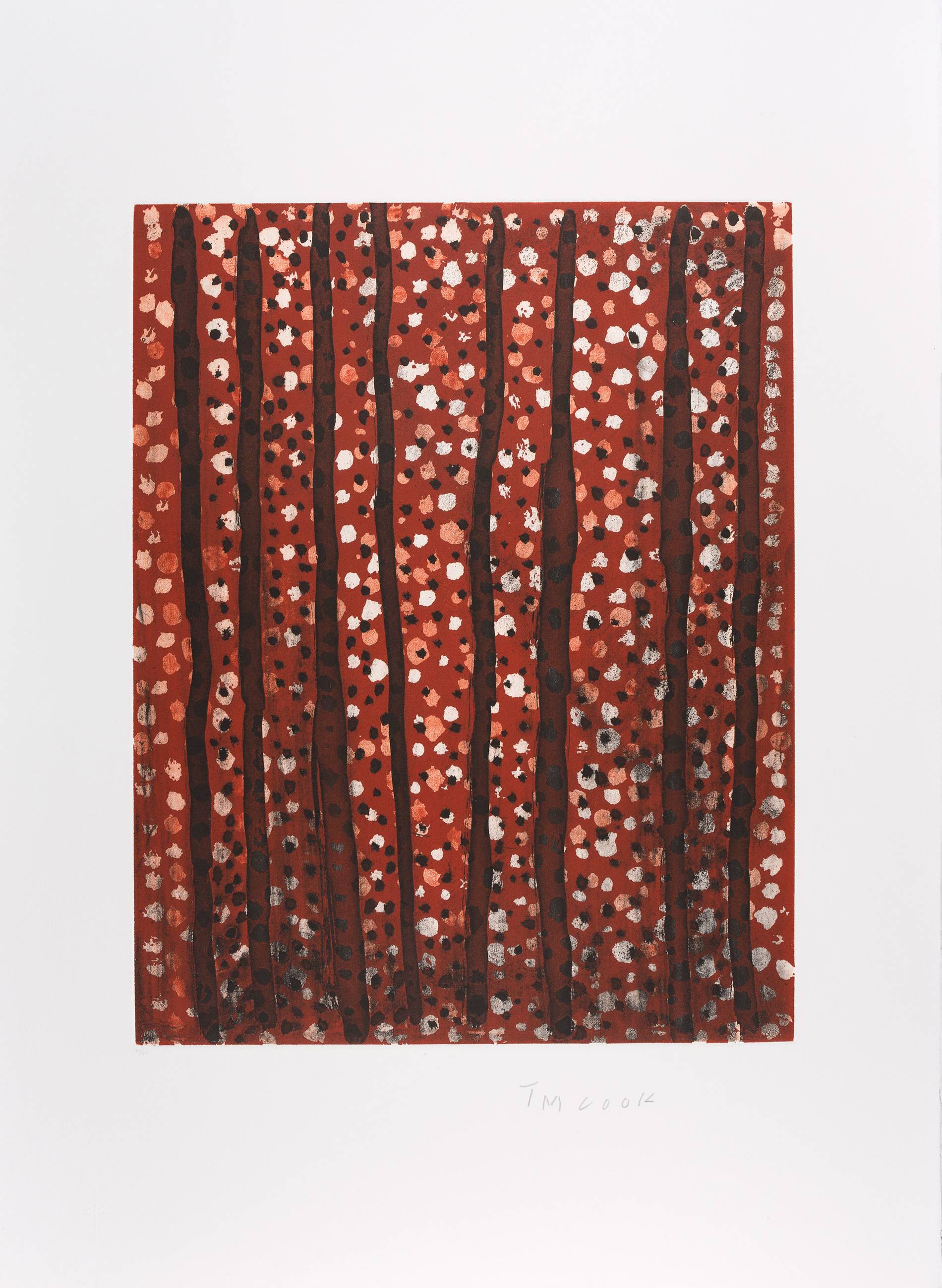 Minga by Timothy Cook | MCA Australia