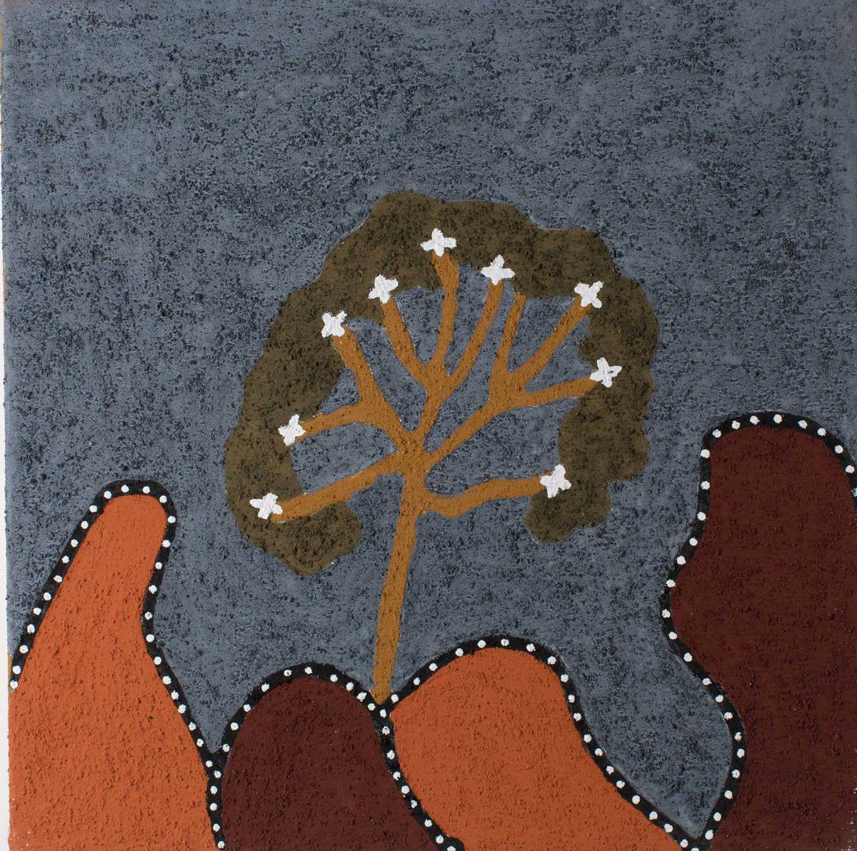 Goowoolem Gijam - Gija plants by Shirley Purdie | MCA Australia