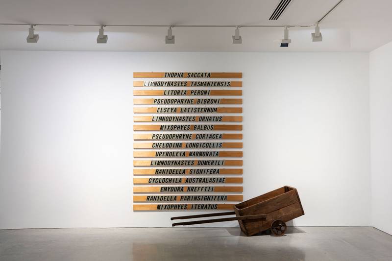 Robert MacPherson | MCA Australia