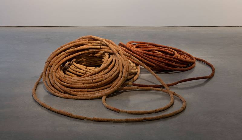 Maria Fernanda Cardoso | MCA Australia