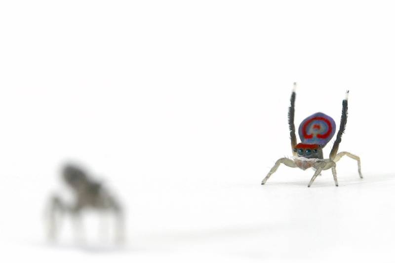 Exhibitions | MCA Australia