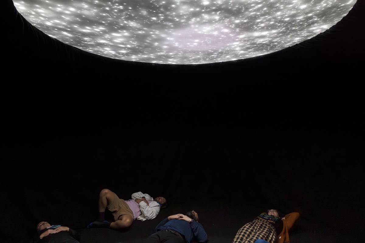 Data Dreams: Art and AI | MCA Australia