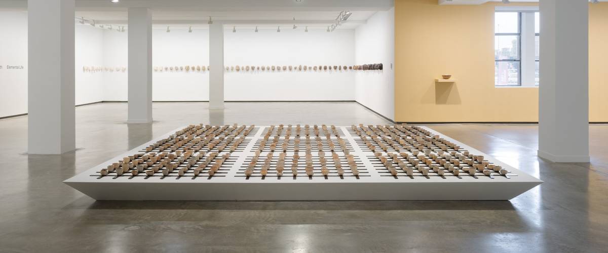 Yasmin Smith: Elemental Life opens at the Museum of Contemporary Art ...