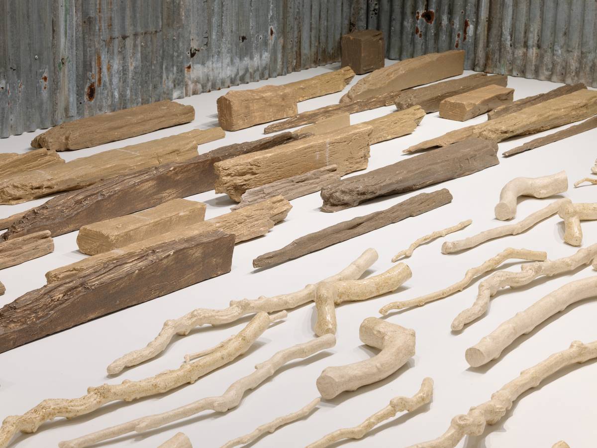Yasmin Smith: Elemental Life opens at the Museum of Contemporary Art ...
