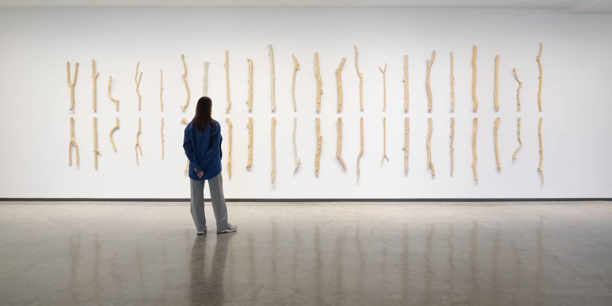 Yasmin Smith: Elemental Life opens at the Museum of Contemporary Art ...