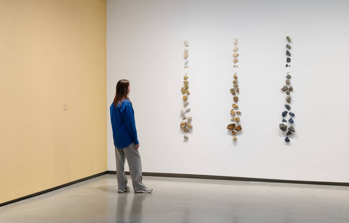 Yasmin Smith: Elemental Life opens at the Museum of Contemporary Art ...