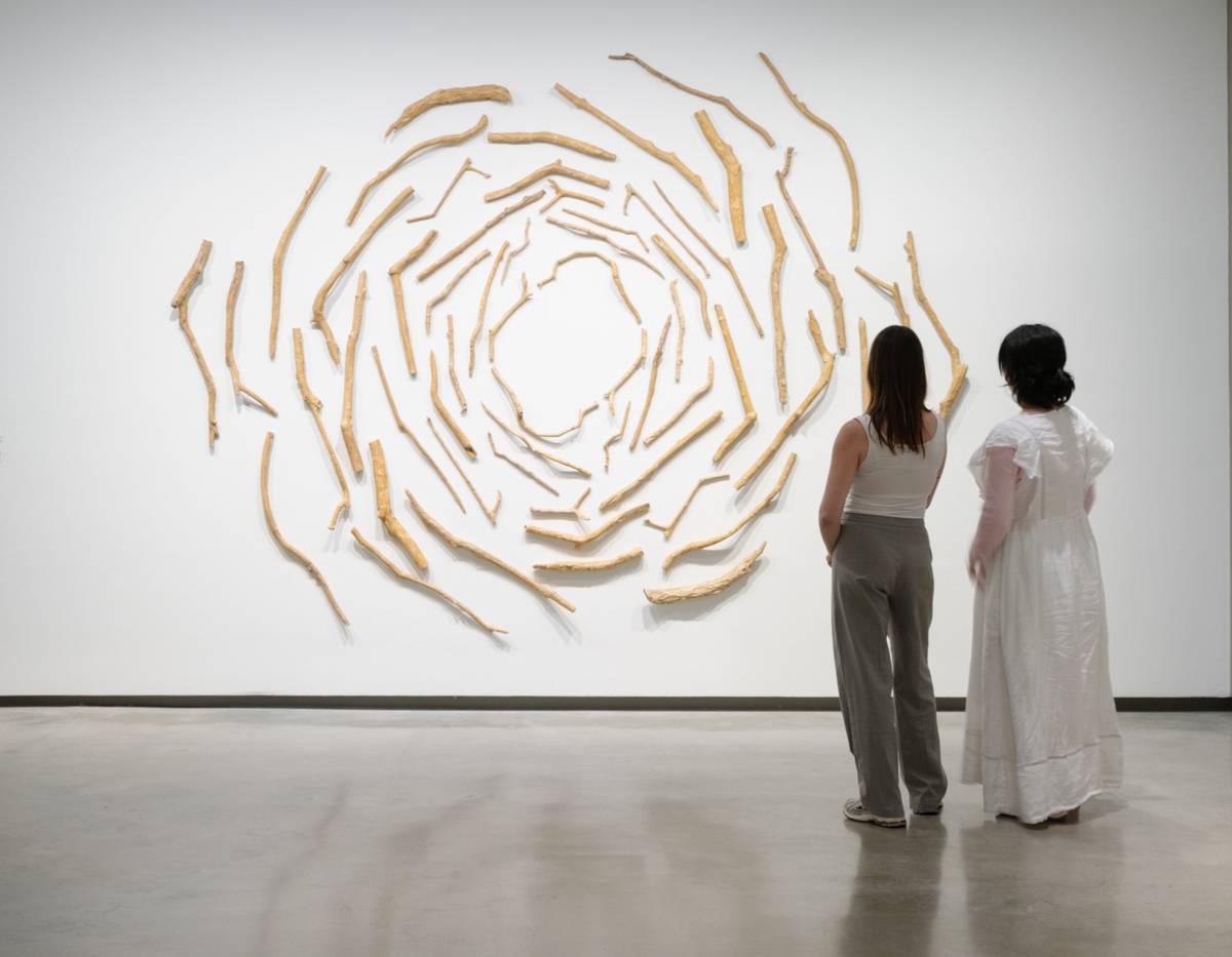 Yasmin Smith: Elemental Life opens at the Museum of Contemporary Art ...
