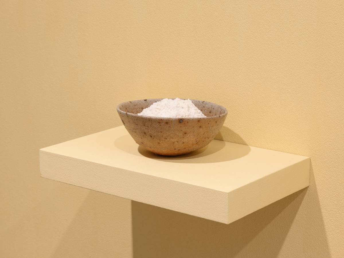 Yasmin Smith: Elemental Life opens at the Museum of Contemporary Art ...