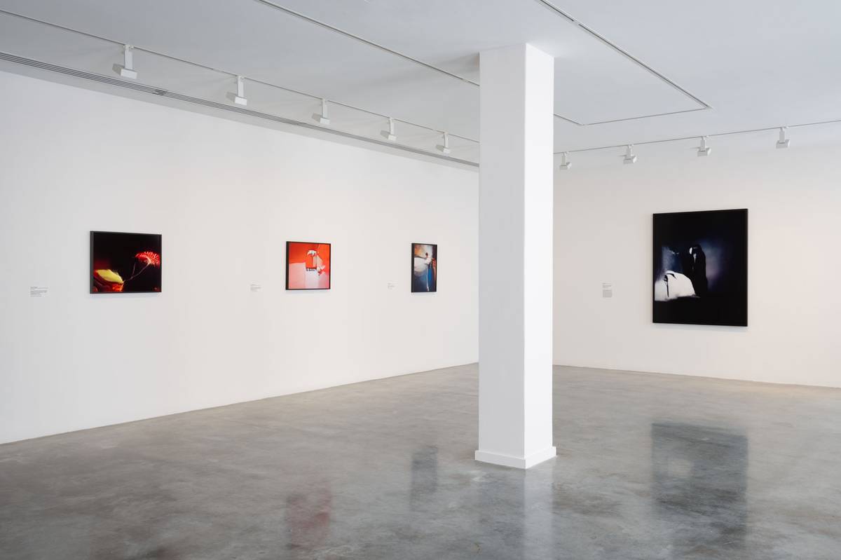 Data Dreams: Art and AI | MCA Australia