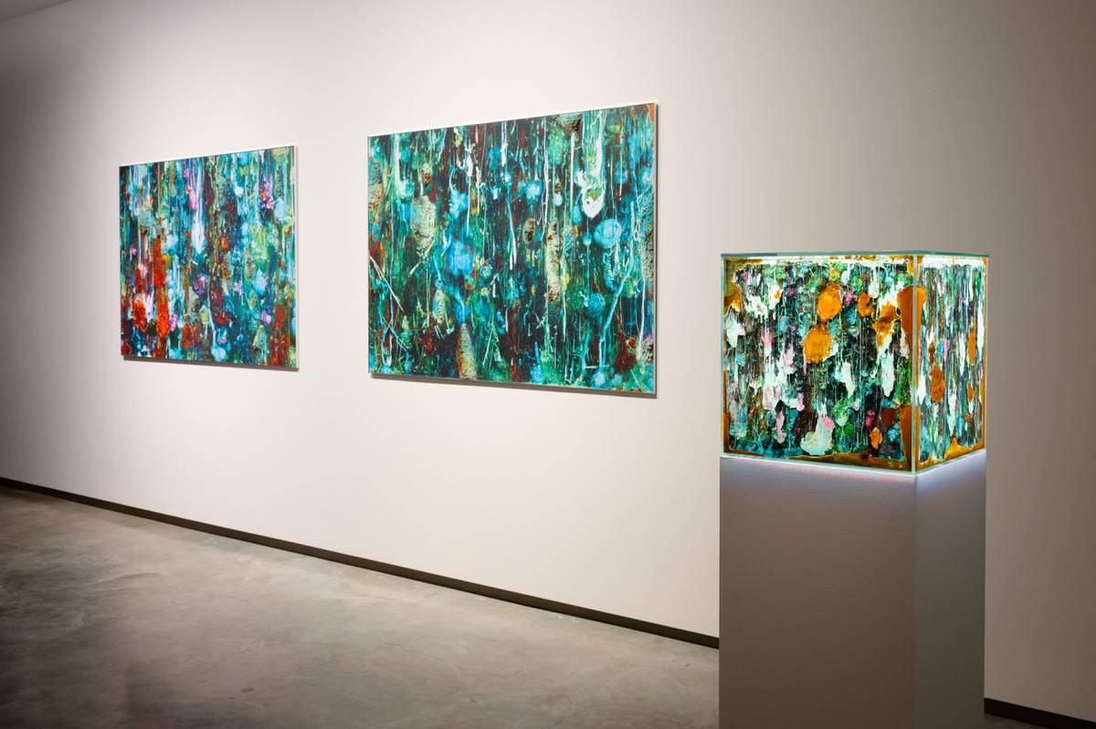 Data Dreams: Art and AI | MCA Australia