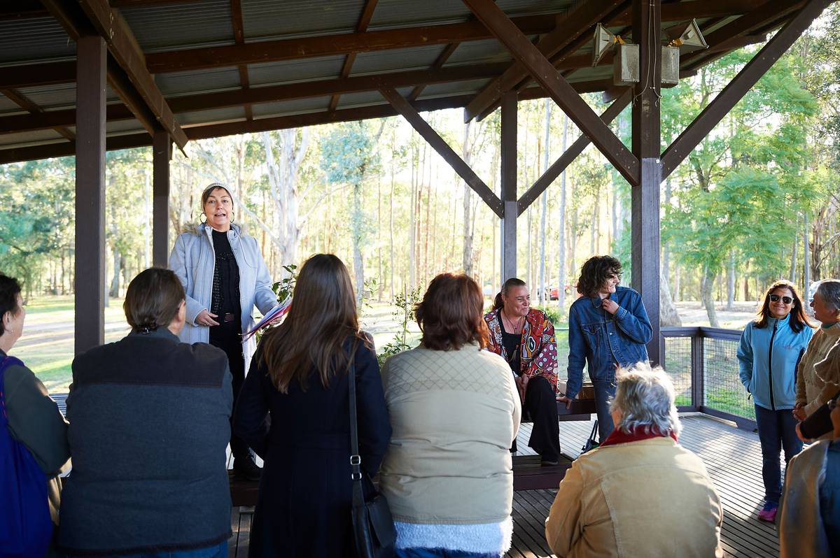 The Plant Library: seedlings, stories and community in Rouse Hill ...
