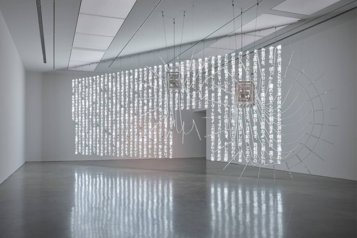 Cerith Wyn Evans .... in light of the visible | MCA Australia