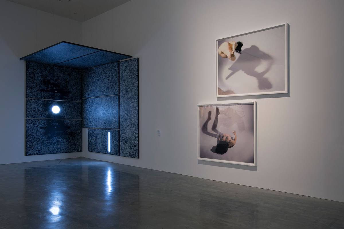 Compass | MCA Australia