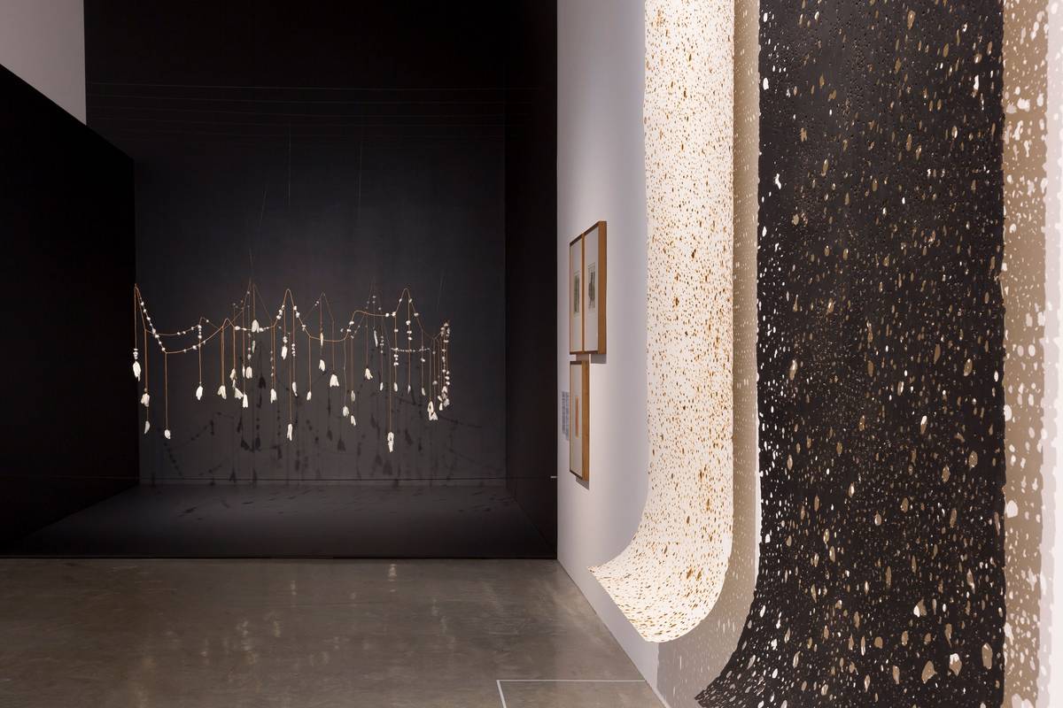 Compass | MCA Australia