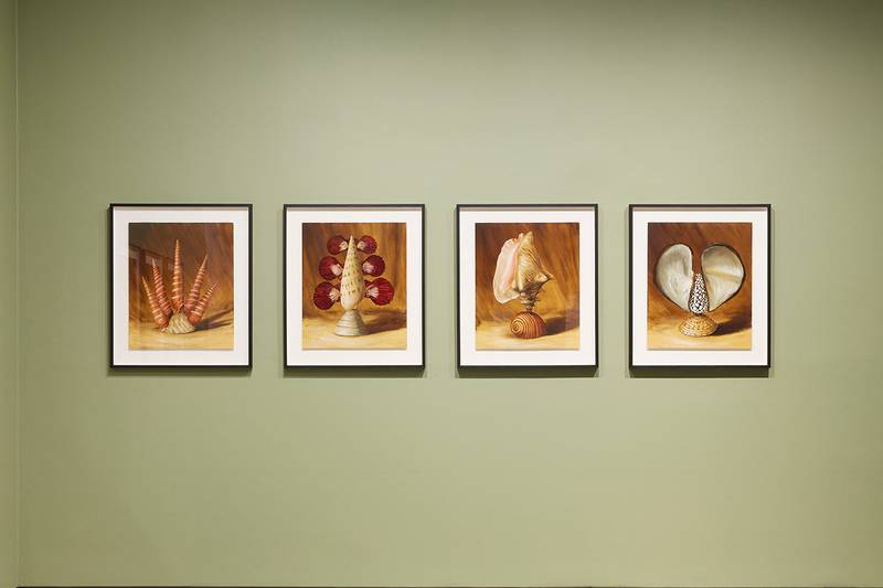 Exhibitions | MCA Australia