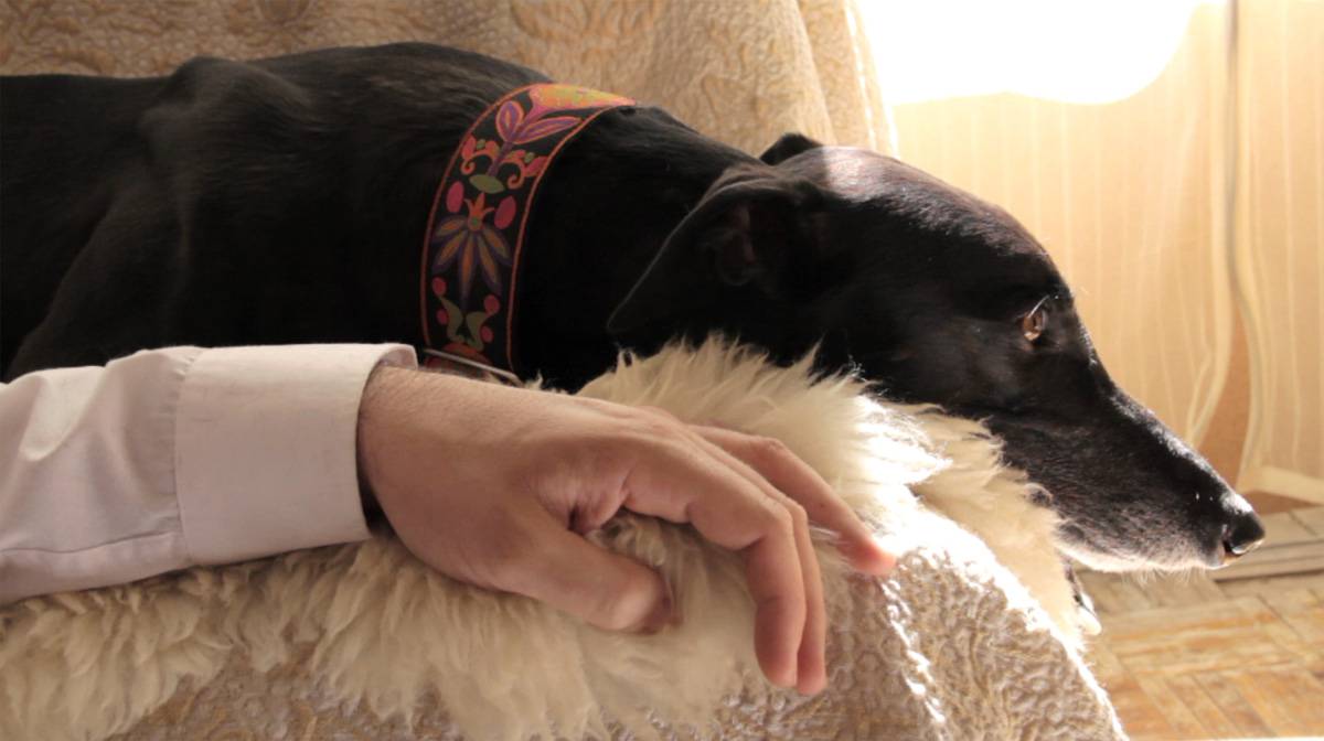 David Capra, Teena's Bathtime, 2015 | MCA Australia