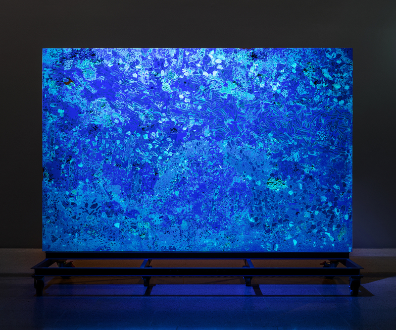 Exhibitions | MCA Australia