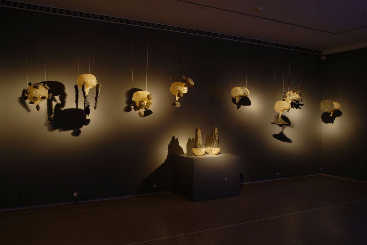 Fiona Hall: Force Field | Exhibitions | MCA Australia