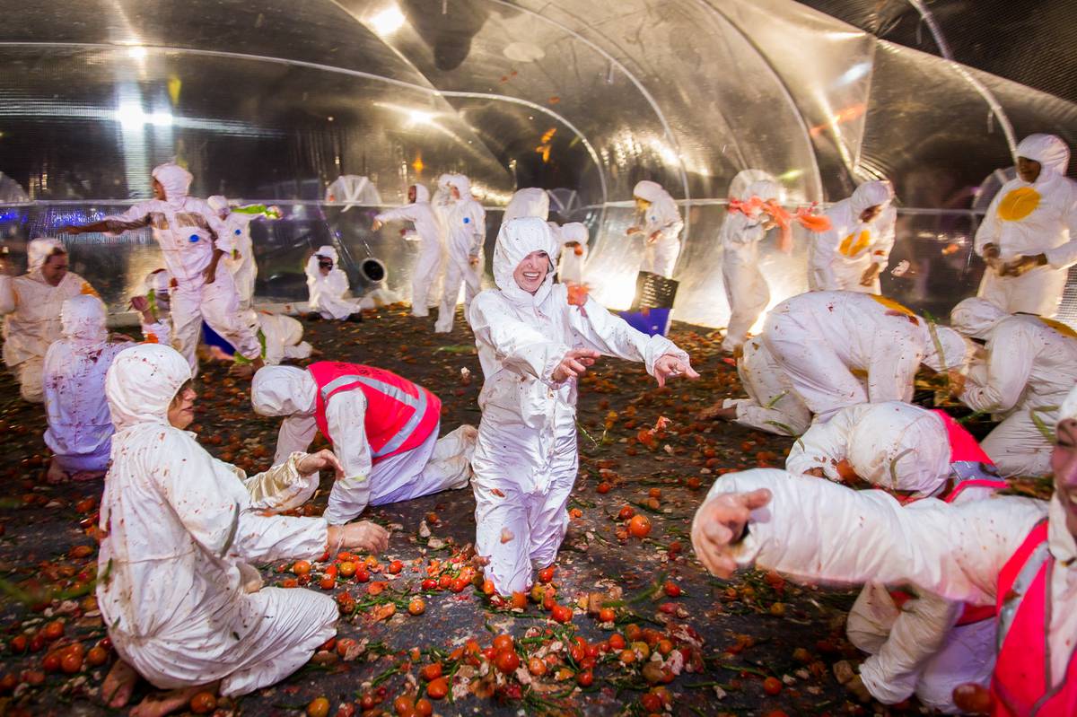 Food Fight: The Battle for Food Security (2016) | Stories & ideas | MCA ...