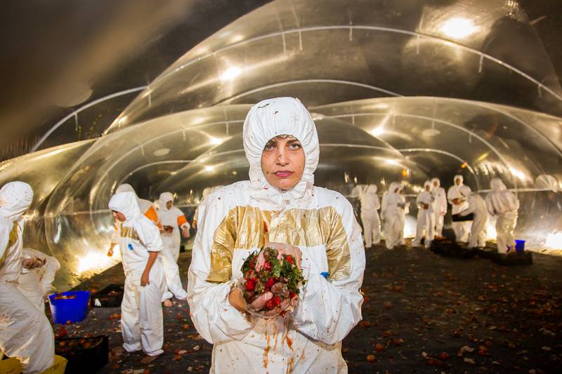 C3West Food Fight: Battle for Food Security | Learning resources | MCA ...